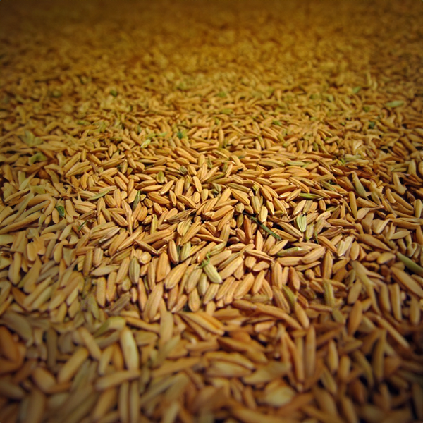 Granza Saco 25 kg | Bodega de la Mascota